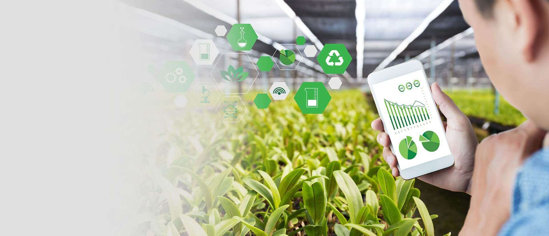 IoT in Agriculture: 9 Technology Use Cases for Smart Farming (and ...